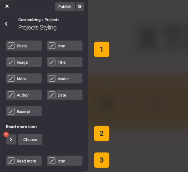 Theme Options: Portfolio Styling – XTRA Tutorials