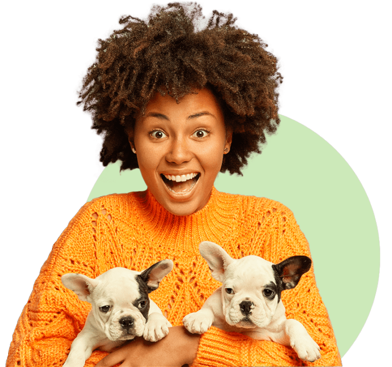 Pet Shop WordPress Theme