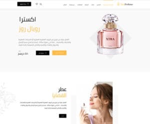 Arabic Demos – XTRA WordPress Theme